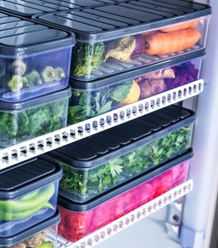 Buy Claiez Fridge Storage Boxes Freezer Storage Containers, Container ...