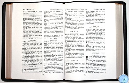Holy Bible: King James Version, Giant Print Wide Margin Text Bible ...