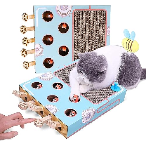 Amazon.com.au Best Sellers: The most popular items in Cat Scratching Pads