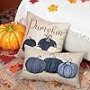 Amazon.com: DFXSZ Fall Pillow Covers 12x20 Inch Fall Autumn ...