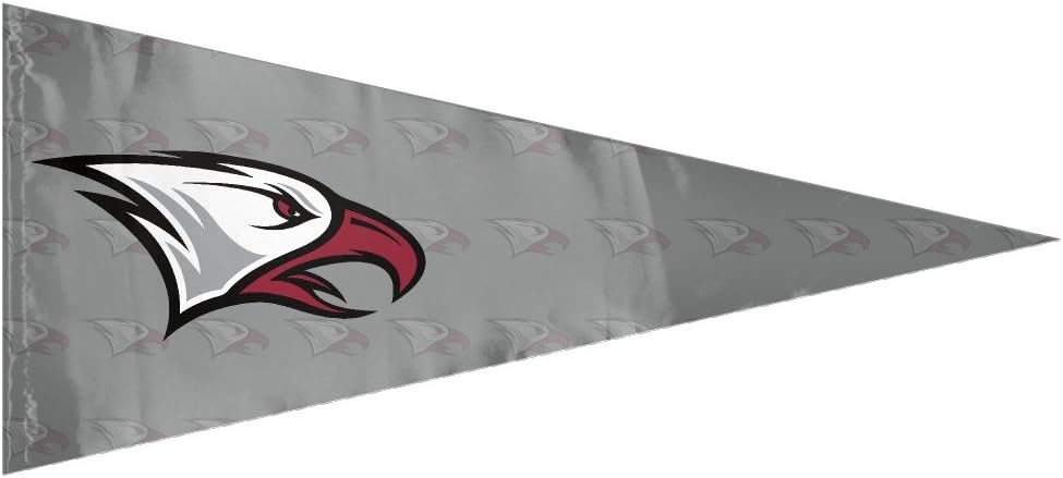 Amazon.com : North Carolina Central Eagles Logo 12" X 30" Pennant ...