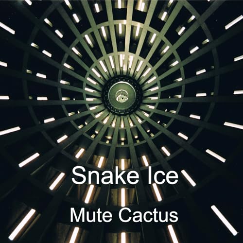 Play Mute Cactus by Snake Ice on Amazon Music
