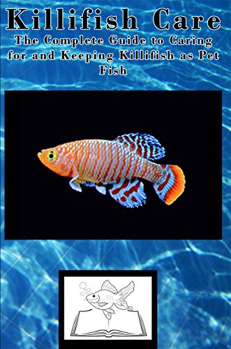 Killifish Care: The Complete Guide to Caring for and Keeping Killifish ...