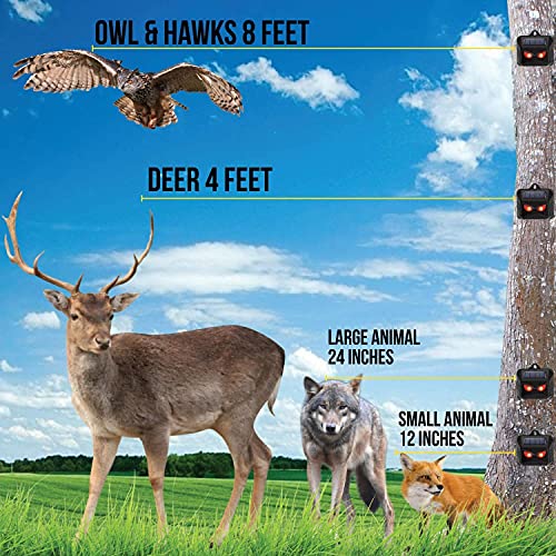 Solar Predator Control Light 4-Pack – Fox Deterrents for Gardens ...