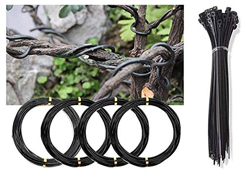 ALEAF 45 Meters Aluminium Wire for Bonsai Beginner's Starter kit and ...