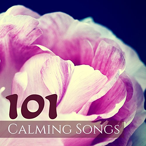 Play 101 Calming Songs - Relax Ocean Waves and Waterfall Background ...