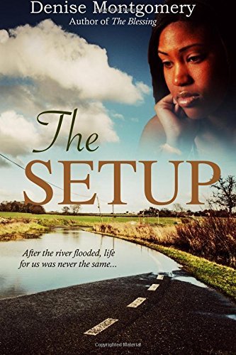 The Setup by Denise Montgomery (2015-06-20): Amazon.com: Books