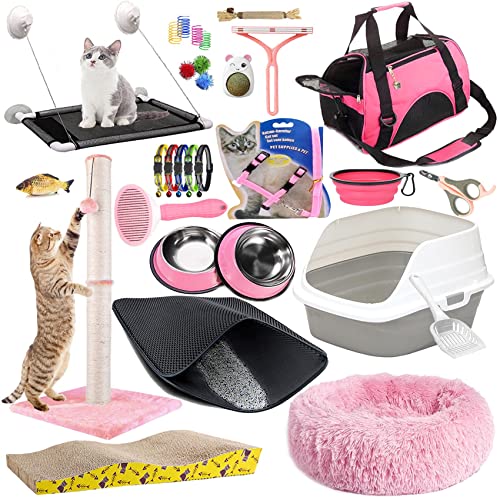 Cat Essentials – Les 15 meilleurs produits comparés - Wild Explained