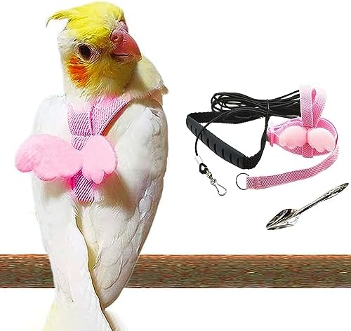 Amazon.com : Xiapumeth Bird Harness, Cockatiel Harness, Conure Harness ...