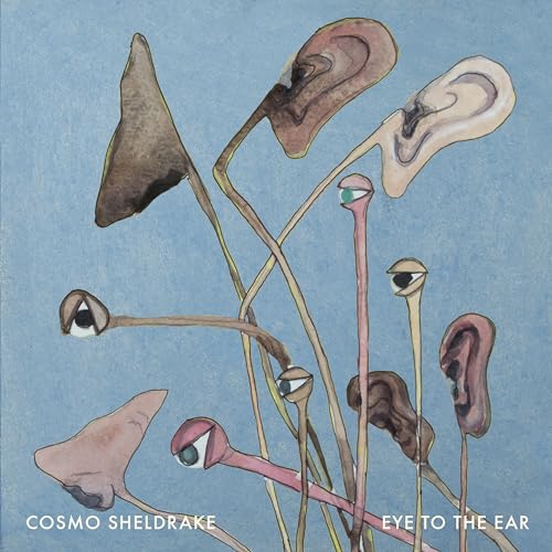 Play Eye To The Ear by Cosmo Sheldrake on Amazon Music Unlimited