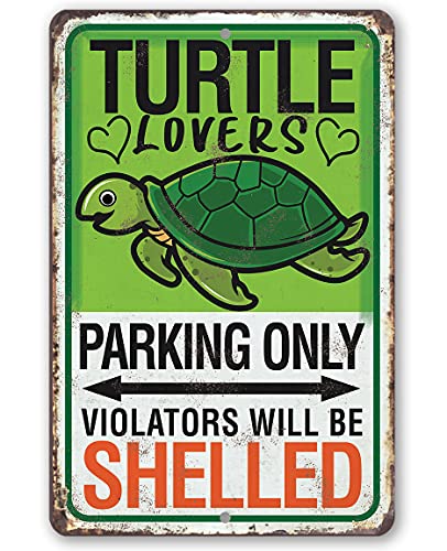Amazon.com: Turtle Parking - Great Sea Turtle Beach Decor or Tortoise ...