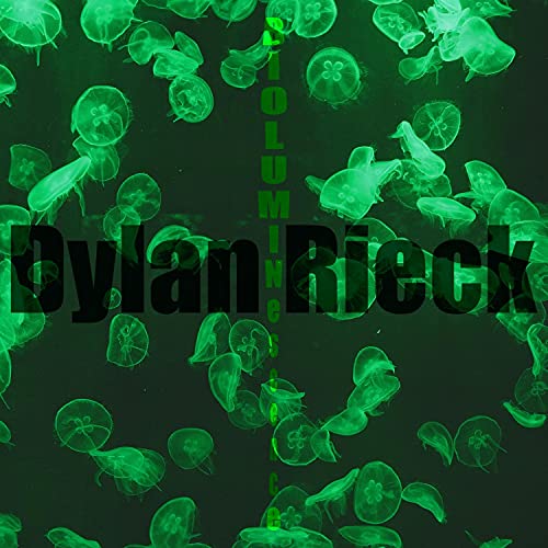 Bioluminescence (feat. Michael Bajuk & Reece Marshburn) de Dylan Rieck ...