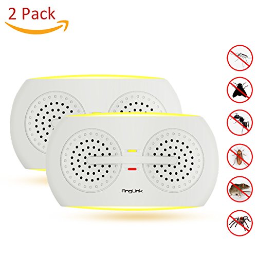 Repulse Power : Quel répulsif rongeur efficace choisir