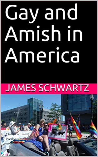 Amazon.com: Gay and Amish in America eBook : Schwartz, James: Kindle Store