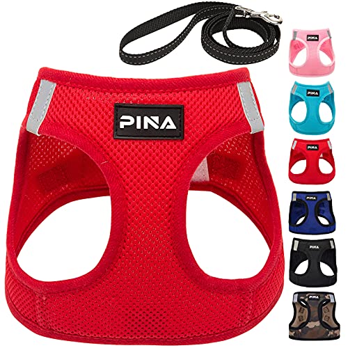 Top 10 Best Easy On Dog Harness : Reviews & Buying Guide - Katynel