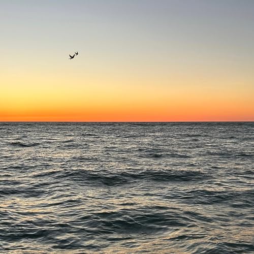 Écouter Face of the Earth par Susso sur Amazon Music Unlimited