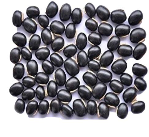 Buy NEERAJ - Black Kaunch Beej Powder Konch Seed Alkushi Kala Koch ke ...