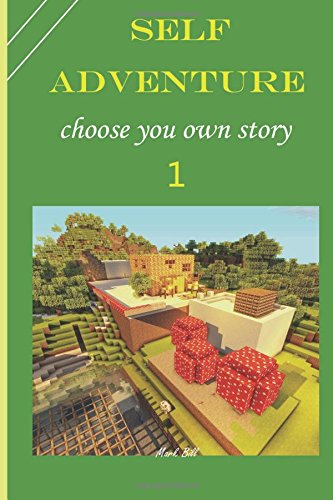 Self Adventure: Choose Your Own Story 1: 9781543127041: Amazon.com: Books