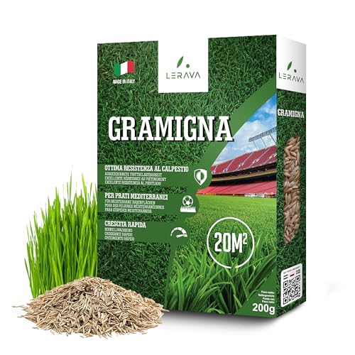 Prato di gramigna: come si fa, quanto costa, come si cura - Giardino Curato