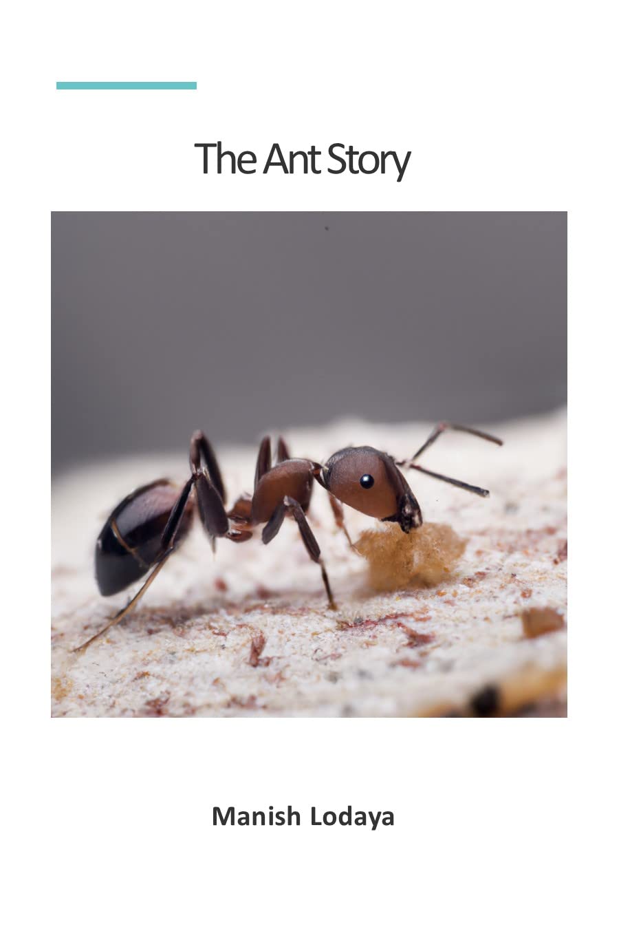 The Ant Story - Kindle edition by Lodaya, Manish. Children Kindle ...