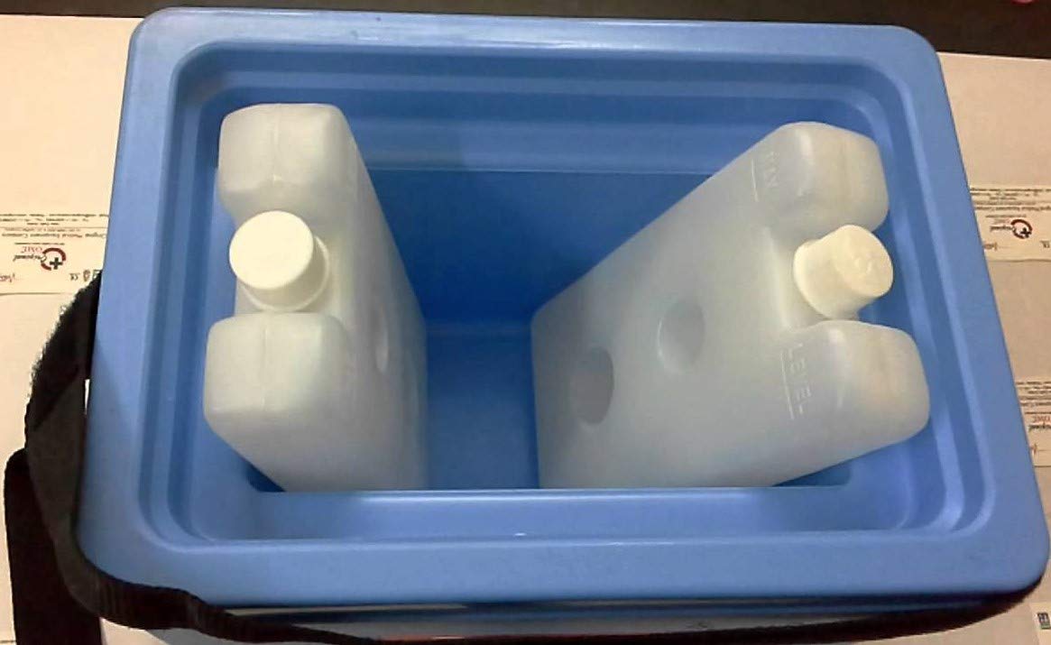 PSM Vaccine Carrier box (Small with 2 Ice Packs 0.80 L) : Amazon.in ...