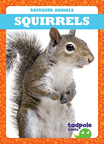 Amazon.com: Squirrels (Tadpole Books: Backyard Animals): 9781645271147 ...