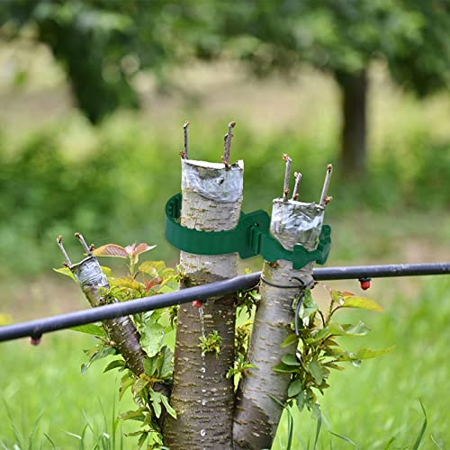 WOSO 8 Pcs 25 cm Tree Ties Straps Supports Heavy Duty Shrub Ties ...