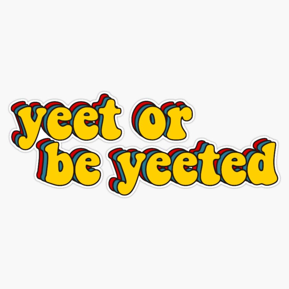 Amazon.com - Yeet Or Be Yeeted Sticker Vinyl Bumper Sticker Decal ...
