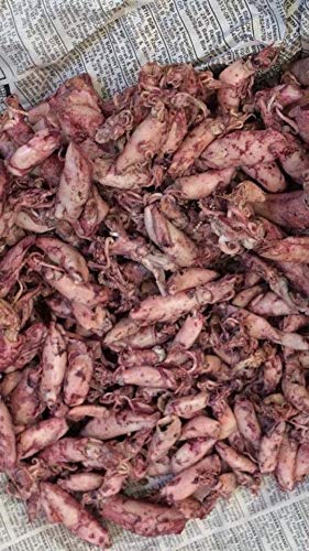 Amazon.com: Cumi telor dari indo 250g (Pack of 2) : Grocery & Gourmet Food