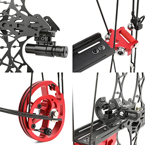 Wolfman Archery Mini 35 Lbs Dual Purpose Steel Ball Compound Bow Kit ...