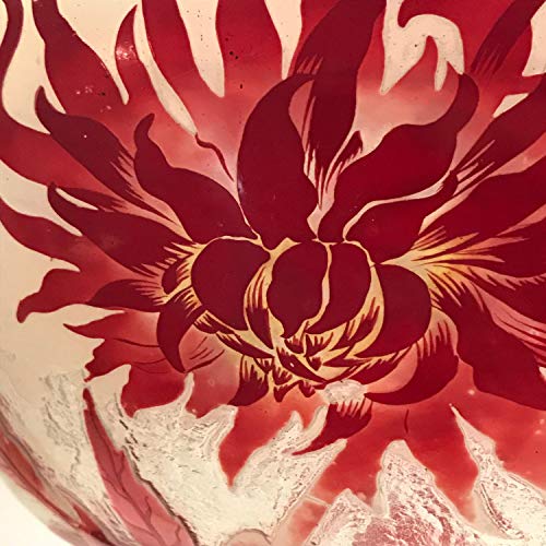 Amazon.com: Lotus : AJ Rios: Digital Music