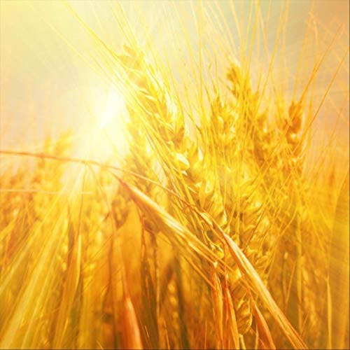 Amazon.co.jp: Jesus Feeds Me : Lisa Lakey Smith: Digital Music