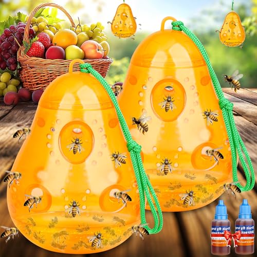 Best Baits for Wasp and Hornet Traps to Effectively Control Insects ...