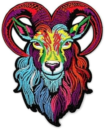 Amazon.com: 3.5" Iron On Patch - Embroidered Pirate Skull Appliques for ...