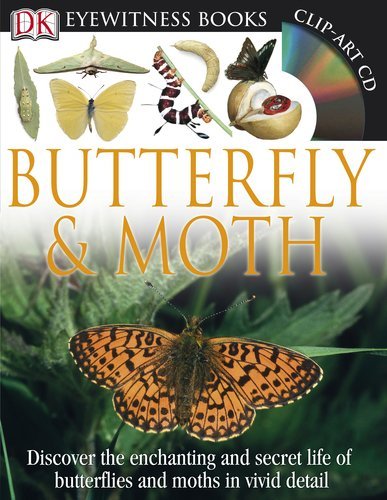 DK Eyewitness Books: Butterfly and Moth: DK Publishing: 9780789458339 ...