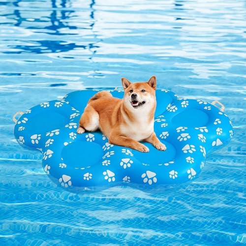 Dog Pool Float – The 15 best products compared - Wild Explained