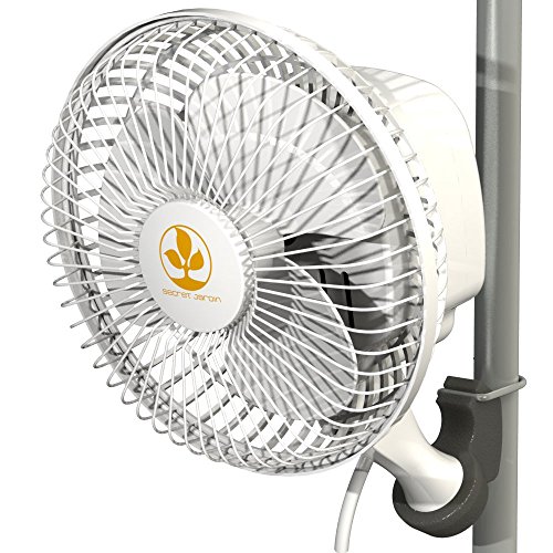 Monkey Fan – Die 15 besten Produkte im Vergleich & Angebote ...