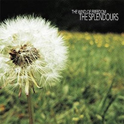 Amazon.com: The Wind of Freedom : The Splendours: Digital Music