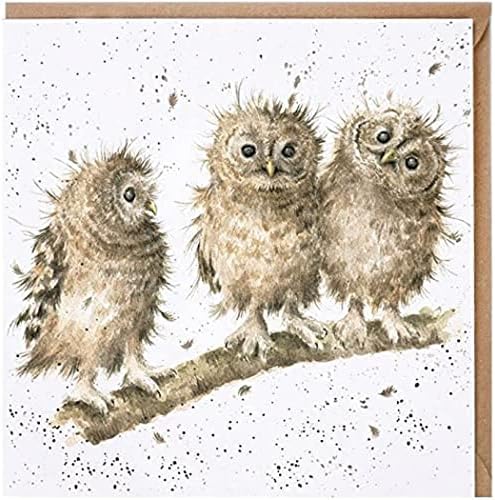 Wrendale Designs - 'You First!' Card : Amazon.co.uk: Stationery ...