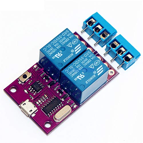 Amazon.com: 2 Channel 5V Delay Relay Module CH340 CH340G Micro USB to ...