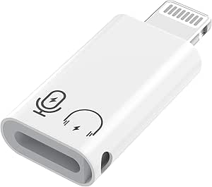 Amazon.com: [Apple MFi Certified] iPhone OTG Adapter,Type C Female to ...