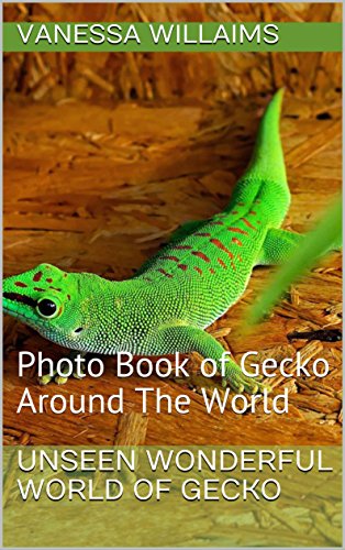 Unseen Wonderful World of Gecko: Photo Book of Gecko Around The World ...