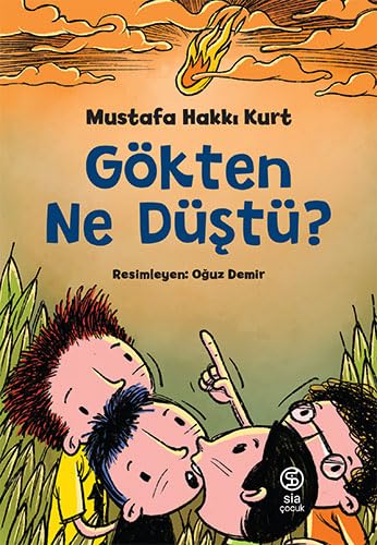 Amazon.com: Gökten Ne Düstü?: 9786258129304: Mustafa Hakki Kurt: Books