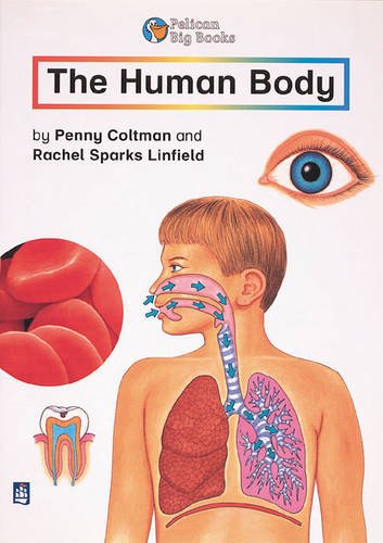 The Human Body Key Stage 2 (PELICAN BIG BOOKS) : Coltman, Penny ...