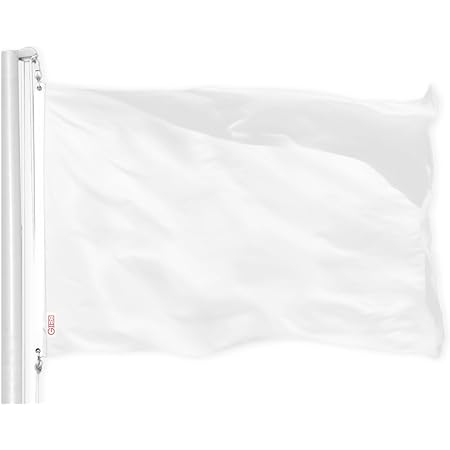 Amazon.com : Solid White (Blank) 12x18in Stick Flag : Patio, Lawn & Garden