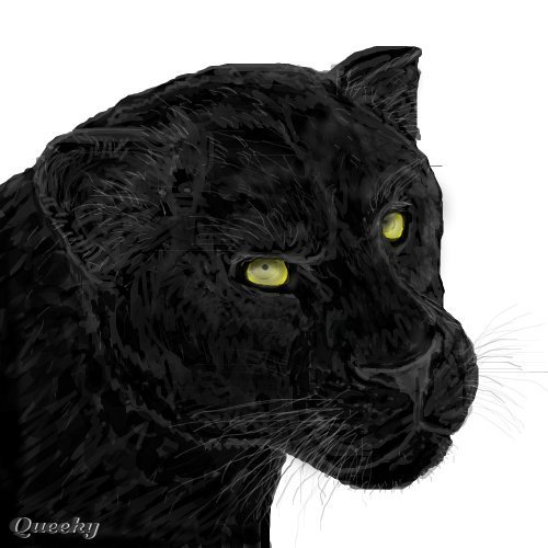 Miracle Pass - Kindle edition by Oakes, Isabella. Health, Fitness ...