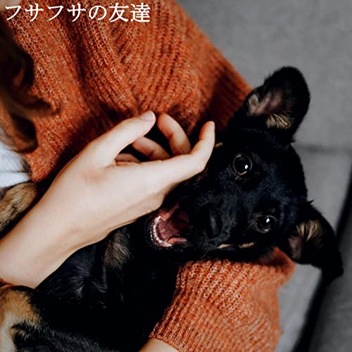 Amazon MusicでEntspannte Jazz Musik, Playlist for Nighttime Calm ...