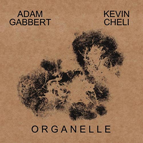 Play Organelle by Kevin Cheli & Adam Gabbert on Amazon Music