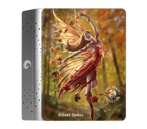 Amazon.co.uk Best Sellers: The most popular items in Hard Drive Stickers