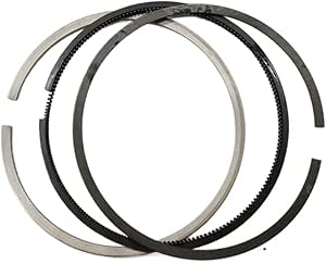Amazon.com: Piston Ring Sets Kits BLKPRO OEM Replacement for Cummins 6C ...